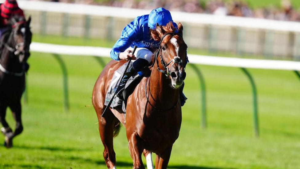 Dewhurst Stakes: Shadow of Light wins at Newmarket, Cesearewitch result ...