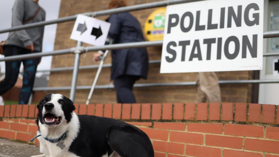 All you need to know about the mayoral elections - BBC News