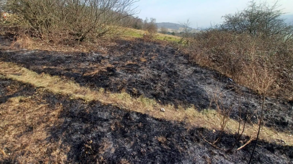 Turfhill heathland fire started deliberately, service says - BBC News