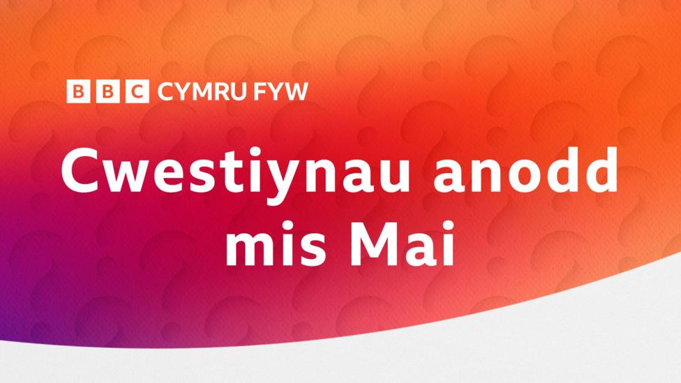 Cwis: Cwestiynau anodd mis Mai - BBC Cymru Fyw