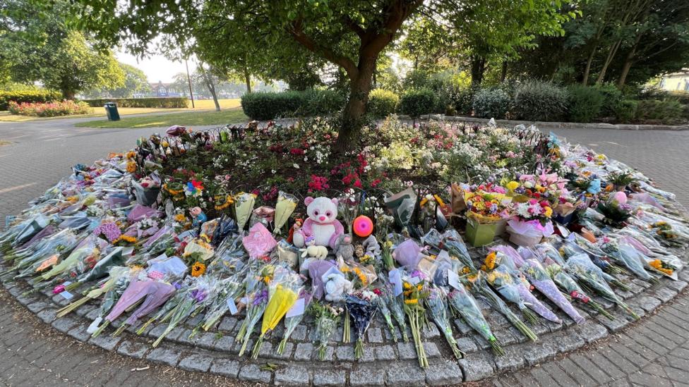 Southend tree victim Leonna Ruka was killed by falling branch - BBC News