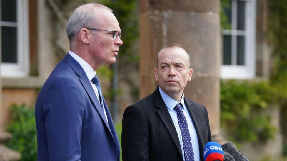 Simon Coveney stepping down from Irish cabinet - BBC News