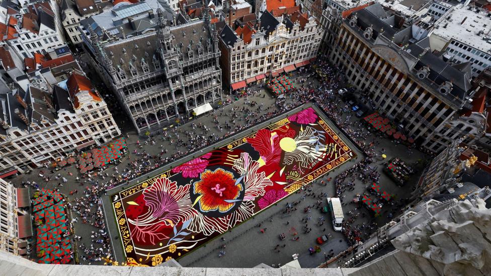Brussels Flower Carpet 2024: Display takes over historic square - BBC ...
