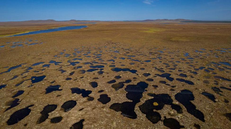 Scotland's Flow Country wins Unesco world heritage listing - BBC News