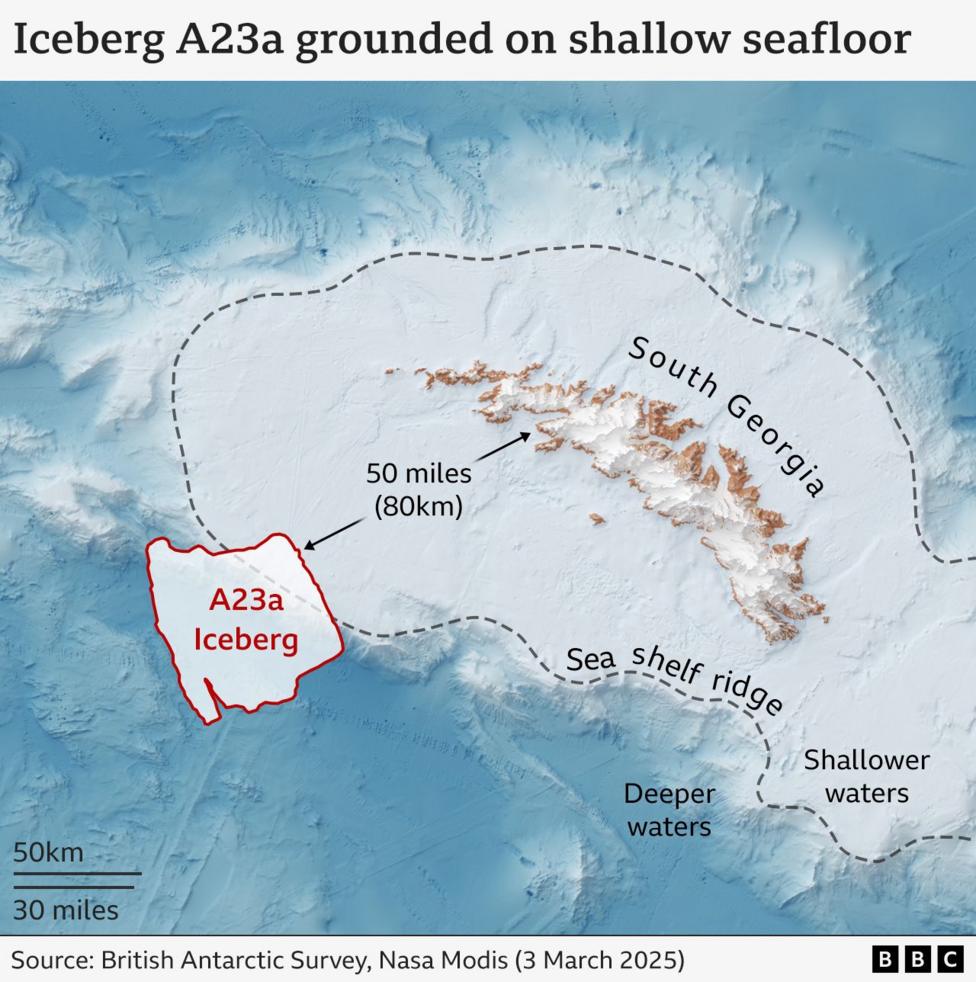 A23a: World's biggest iceberg runs aground off remote island - BBC News