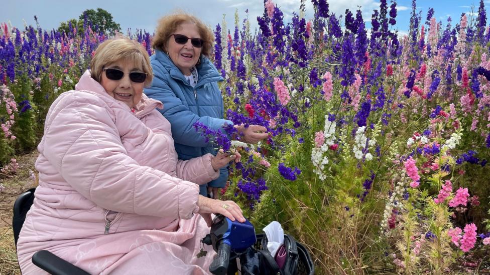 Pershore's Insta-worthy confetti flower fields primed for rush of ...