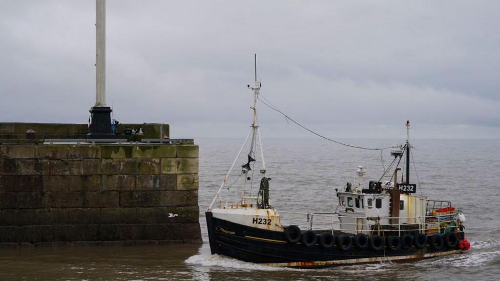 What is the sea bottom trawling ban? - BBC Newsround