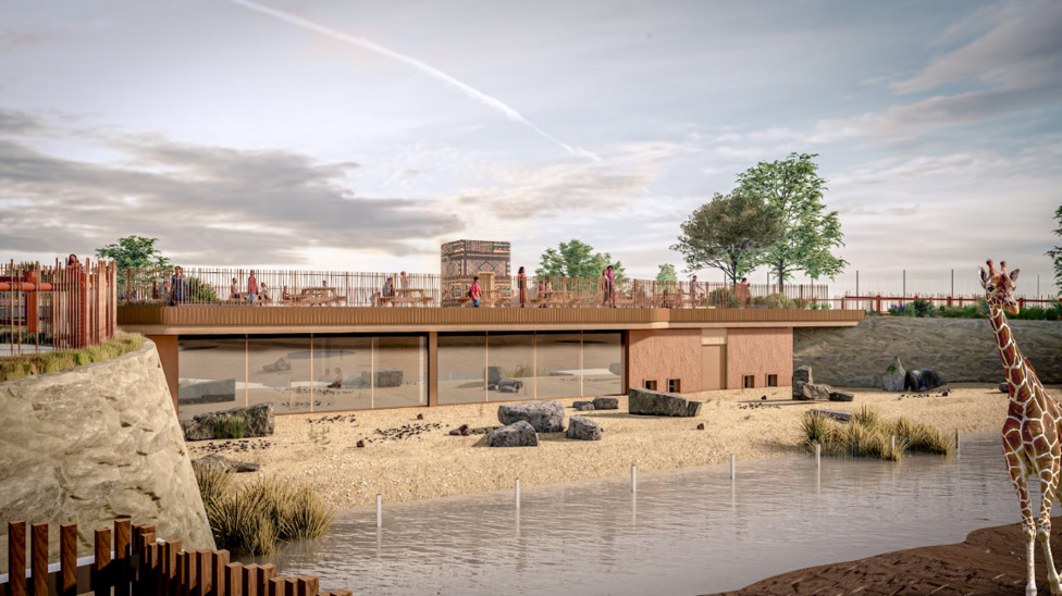 Construction firm finishes 'really interesting' zoo project - BBC News