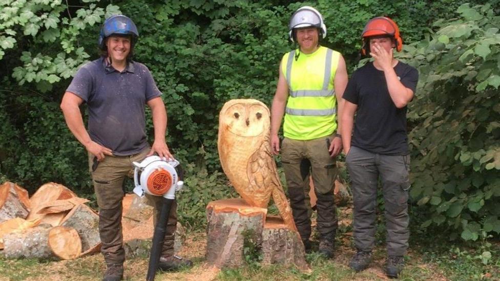Dorset Council workers create owl carving from dead tree - BBC News
