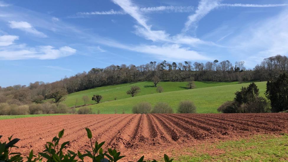 UK weather: Rainfall warnings issued as April showers return - BBC Weather