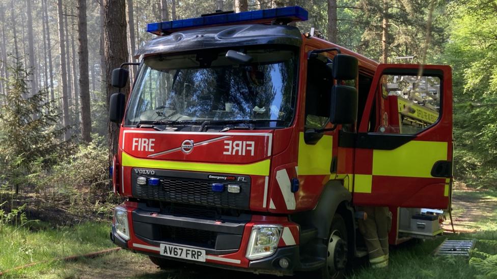 Thetford Forest fire tackled by crews close to A11 in Suffolk - BBC News