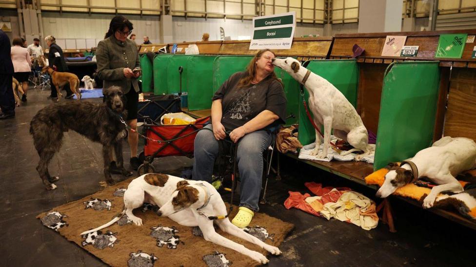 Crufts 2025 opens its doors as thousands of dogs head to world-famous ...