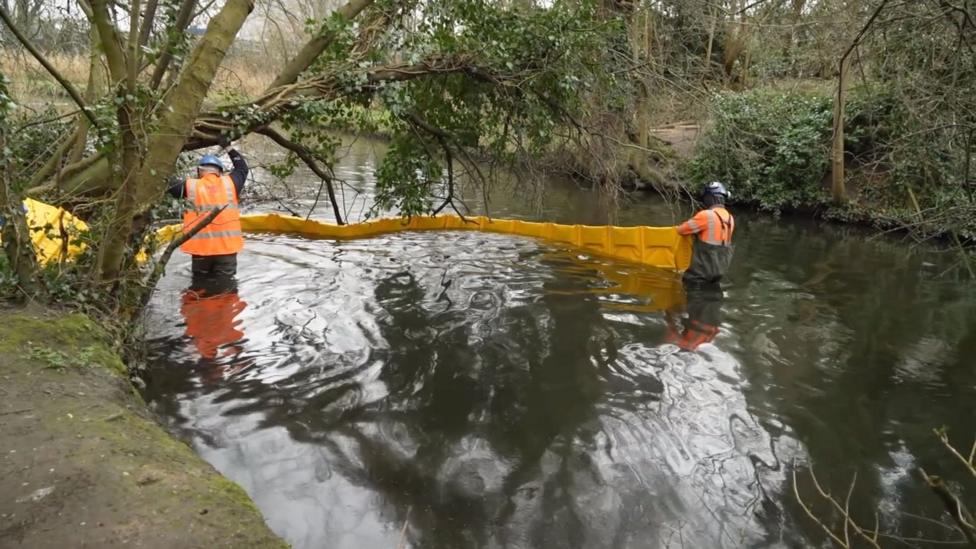 River Wandle: Diesel spill clean-up under way in chalk stream - BBC News