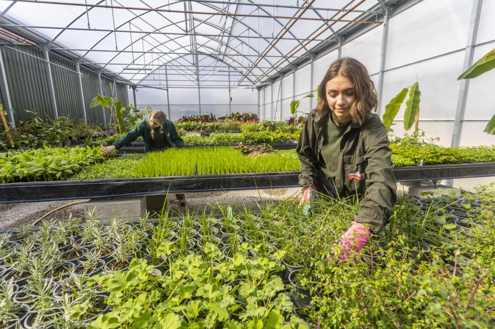 Eden Project launches deep geothermal heating system - BBC News