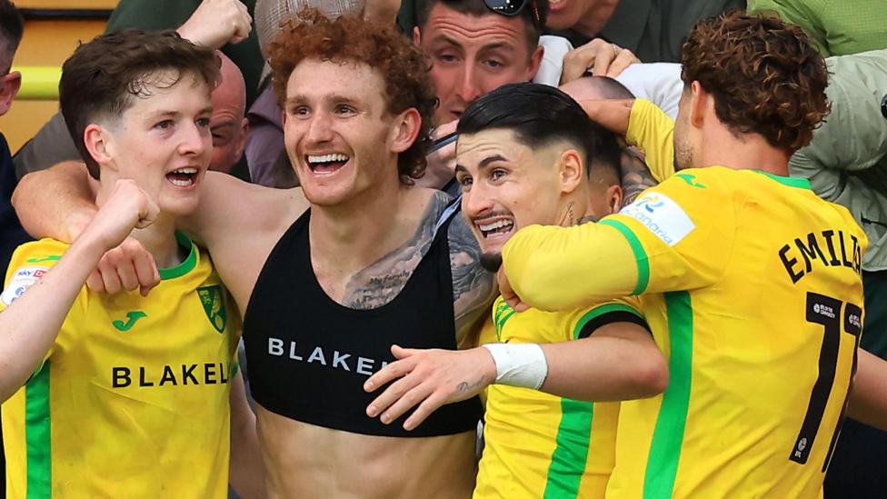 Norwich City 1-0 West Bromwich Albion: Canaries beat play-off rivals ...