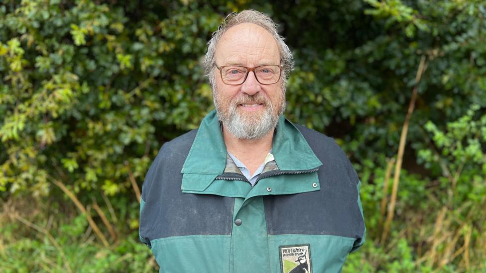 Swindon receives 50,000 newly-planted trees in five years - BBC News