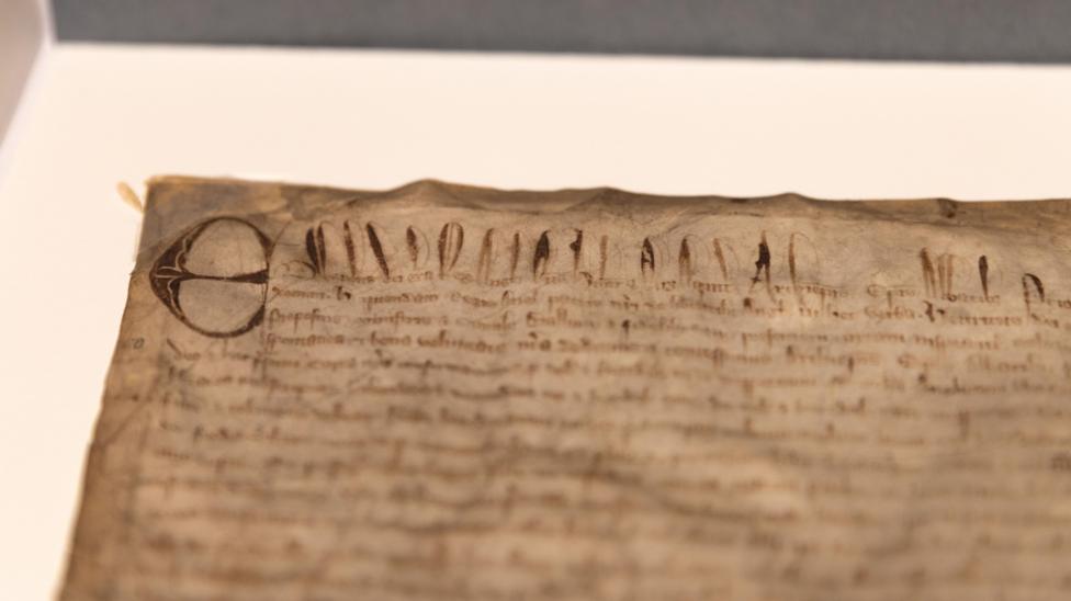 Harvard cut-price Magna Carta 'copy' now believed genuine - BBC News