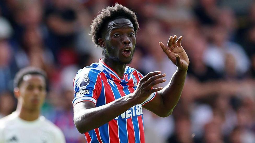 Crystal Palace news: Fan views on cup win over Millwall - BBC Sport