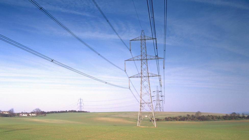 Pylon plans in rural Wales could spark social unrest, Plaid warns - BBC ...