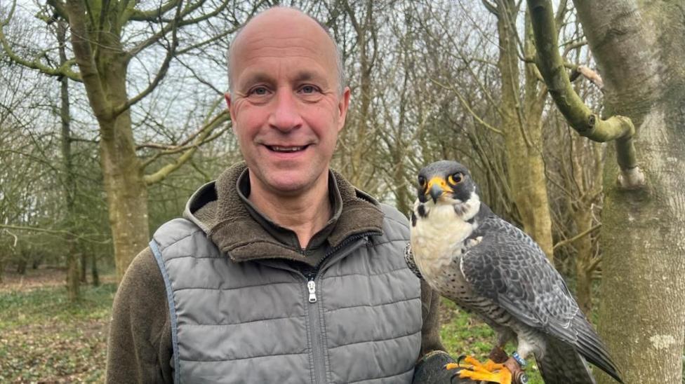 H is for Hawk: The 'secretive' Goshawks starring in Hollywood film ...
