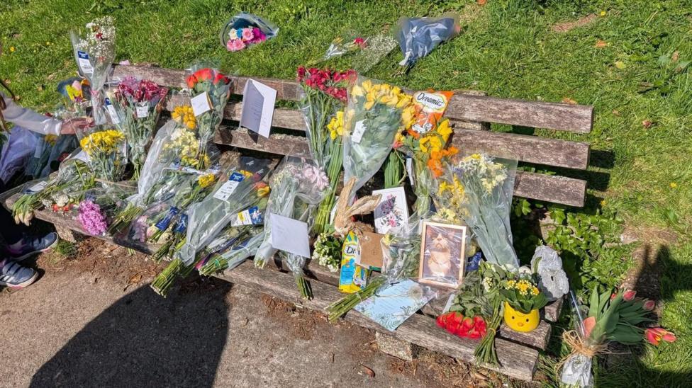 Tributes paid to cat who 'brought joy to everyone' - BBC News