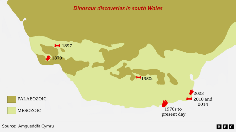 Schoolgirl's dinosaur footprint find on Vale of Glamorgan beach - BBC News