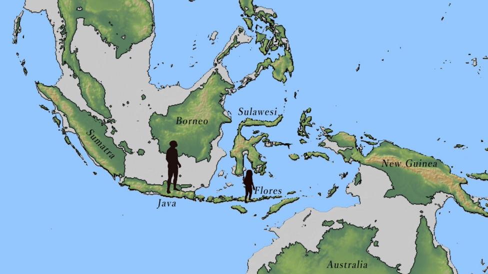 Ancient bones of the world's tiniest 'hobbit' humans discovered - BBC ...