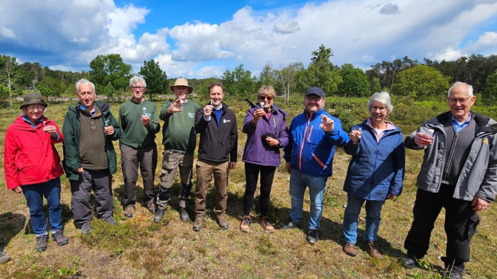 Air quality testing to protect Dorset heathlands from pollution - BBC News