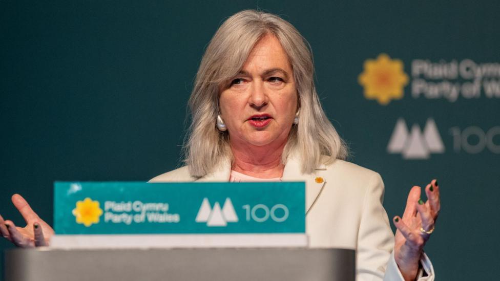 Reform UK could win next Welsh election, senior Plaid MP says - BBC News