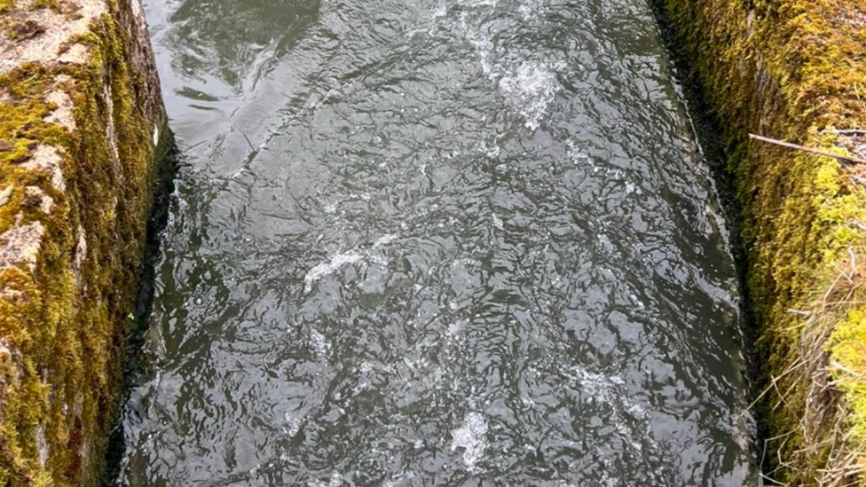 River Thames: What is the solution to sewage in our waterways? - BBC News