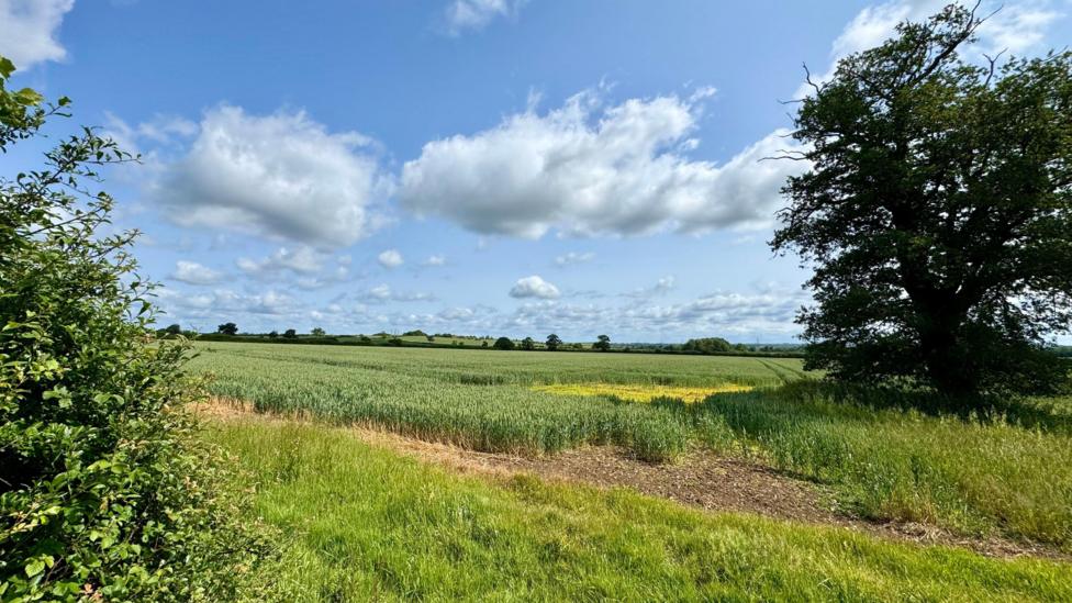 Botolph Claydon campaigners join walk against solar farms - BBC News