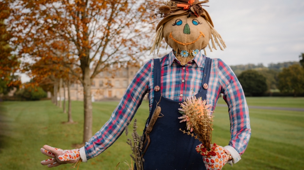 Wiltshire in pictures: Meet the Longleat scarecrows - BBC News
