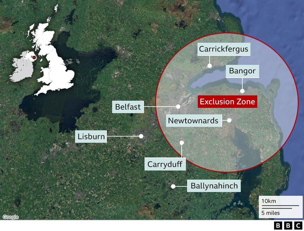 Bluetongue: Minister says control zone may be extended across NI - BBC News
