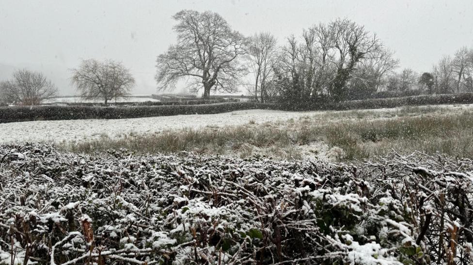 Somerset snow: Amber weather alert issued for the county - BBC News