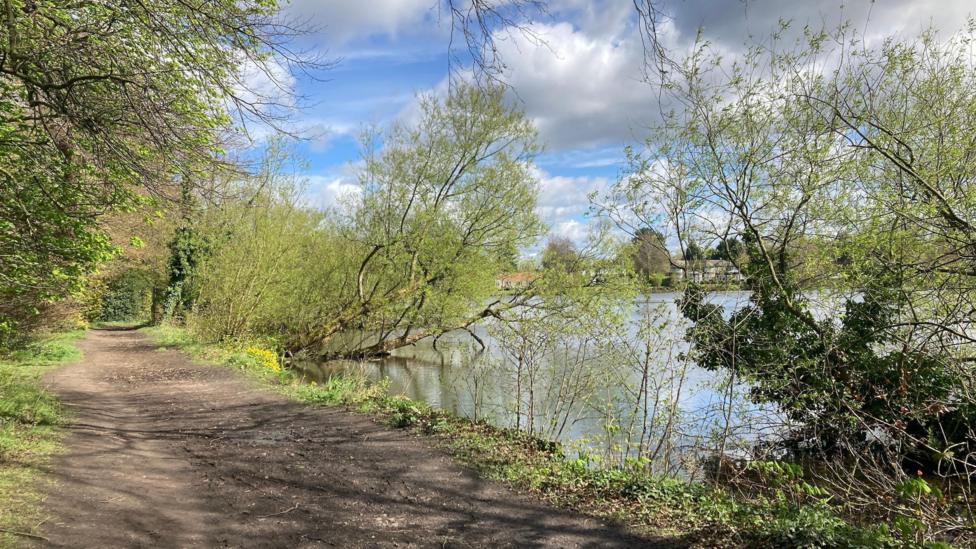 Poynton Pool: Campaigners' plan to save beauty spot trees - BBC News