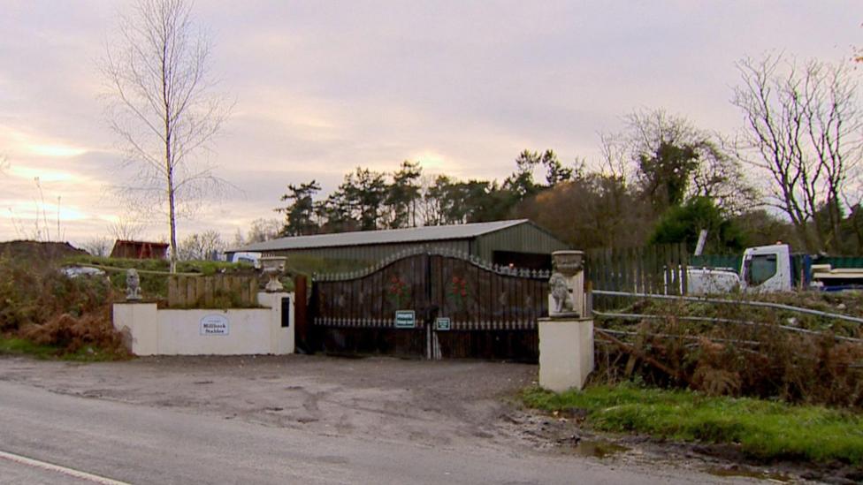 Sycamore Gap: Who are the tree fellers and why did they do it? - BBC News
