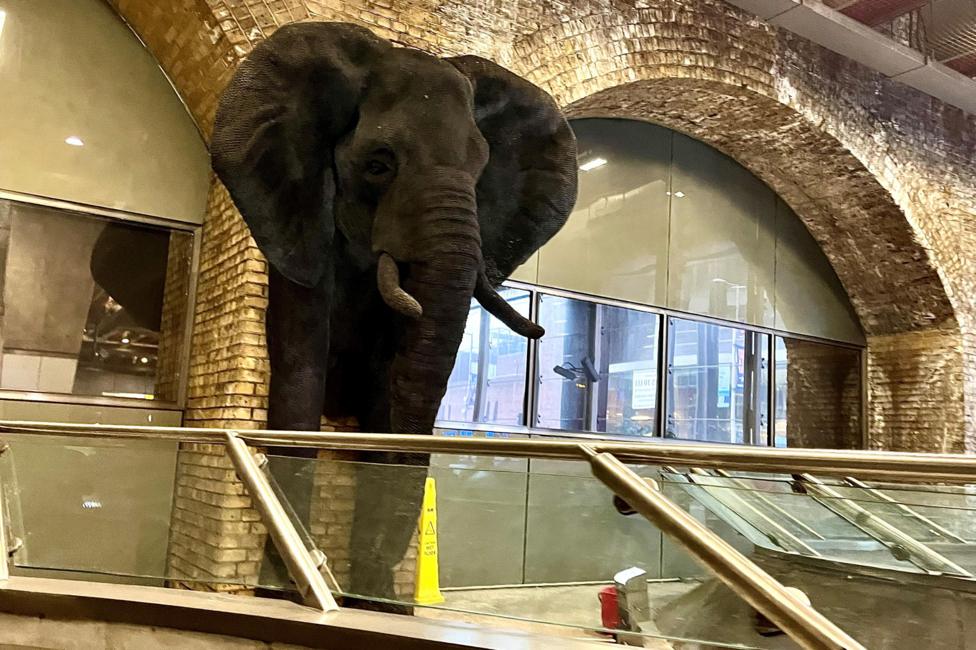 London animal art: Where can you find a giant cat and a dead bird - BBC ...