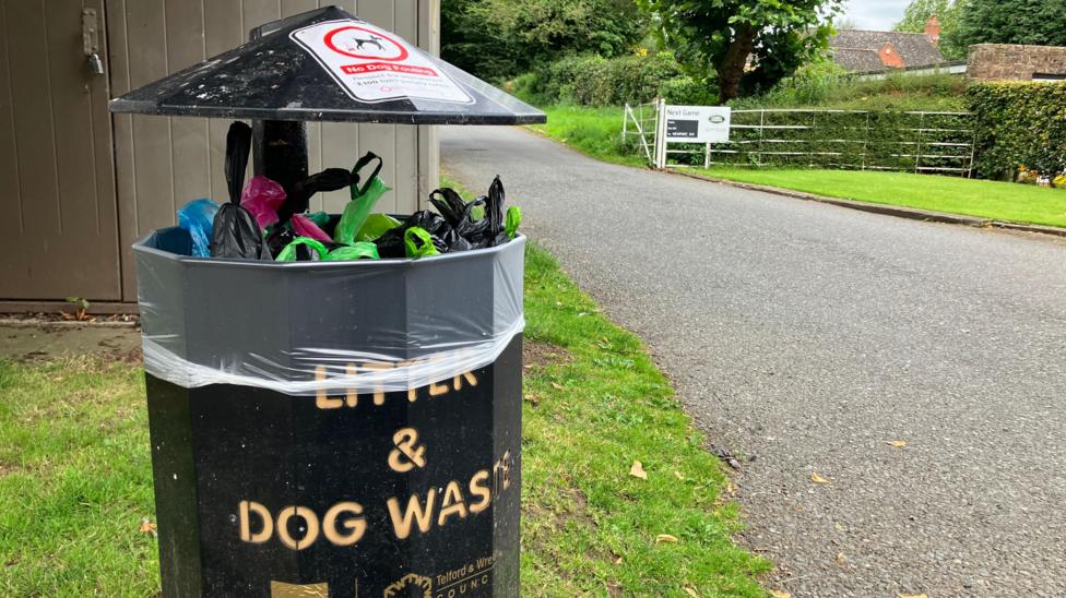 Dorset Police warning after cows fall ill from eating dog poo - BBC News