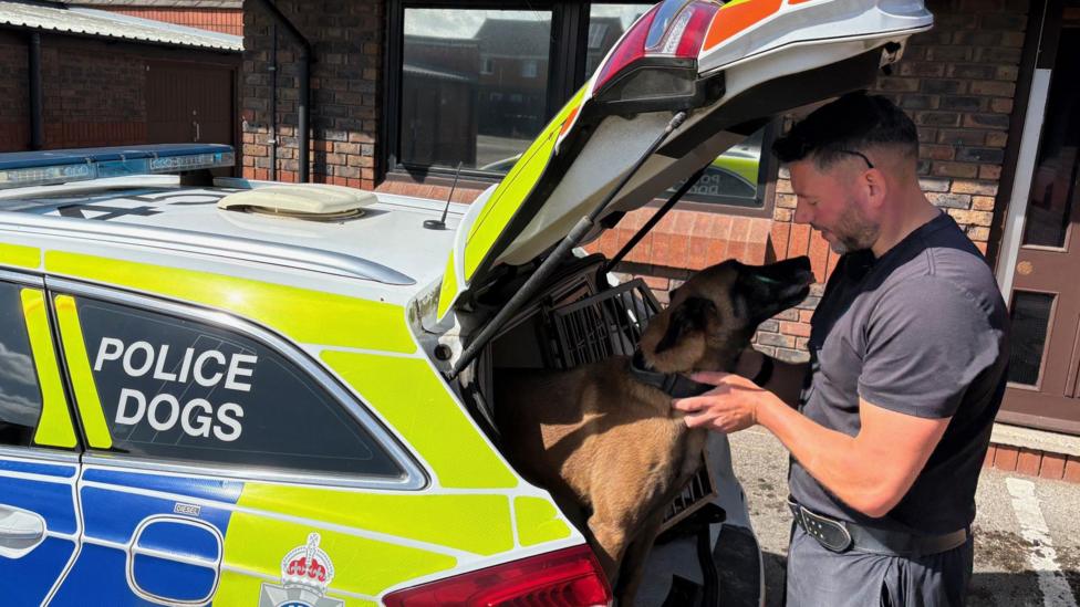 Inside Humberside Police's dog section - BBC News