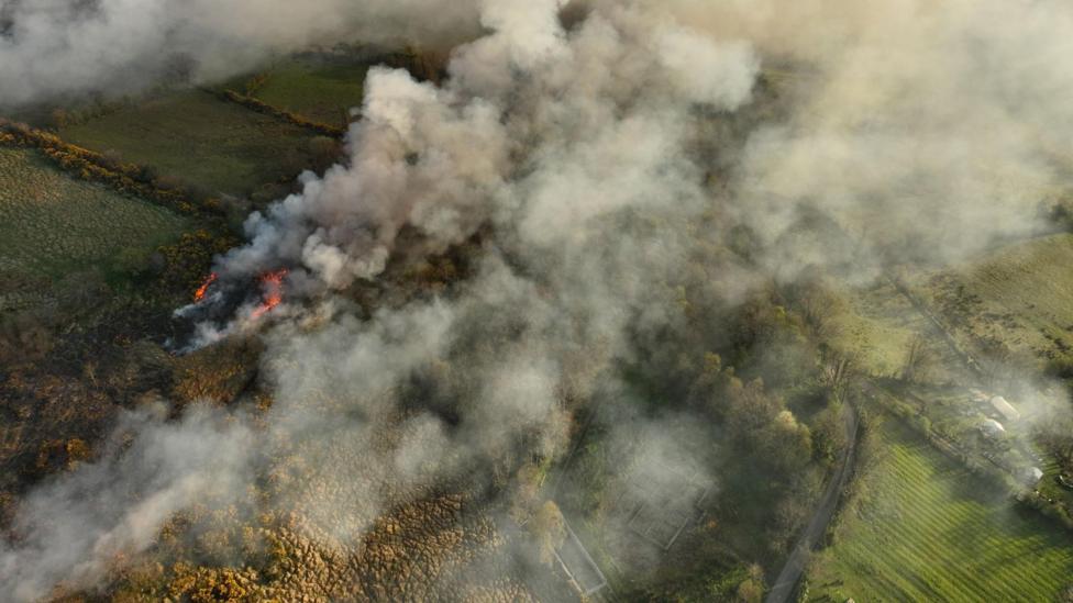NI wildfires: Fire crews tackle almost 300 incidents in one week - BBC News