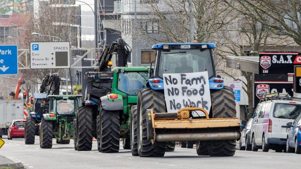 New Zealand government to reverses tax on animal burps - BBC Newsround