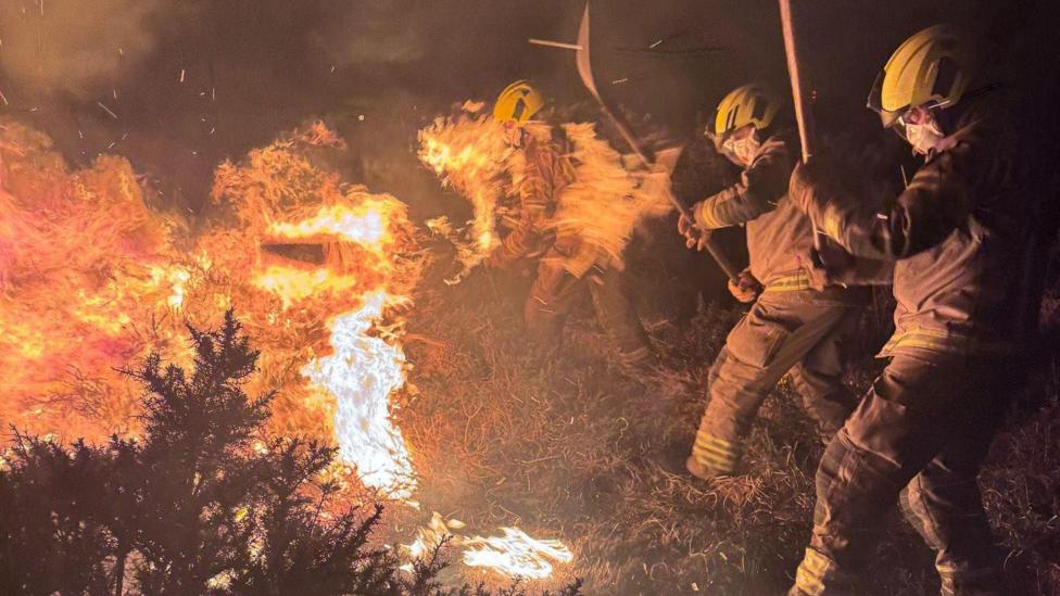 Heatwave sparks fire warnings across south-west England - BBC News
