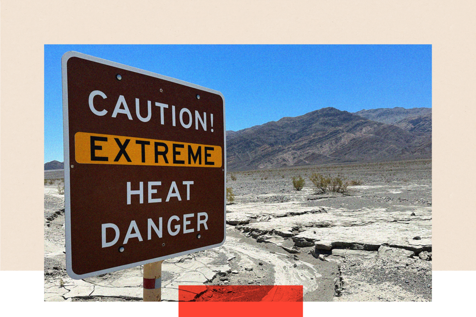 How this US election could change state of the world - BBC News