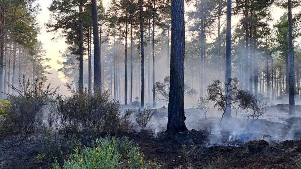 Firefighter photos reveal wildfire damage to Culbin forest - BBC News