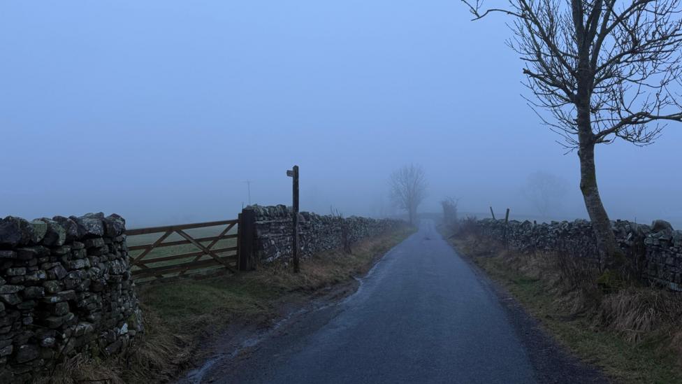 Sunshine, mist and some snow: Your pictures - BBC News
