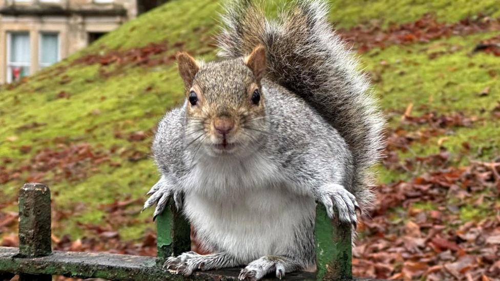 Your pictures of Scotland: Photographs from around the country - BBC News