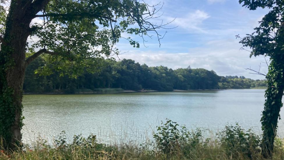 Chard Reservoir: Woodland classroom could be built at beauty spot - BBC ...