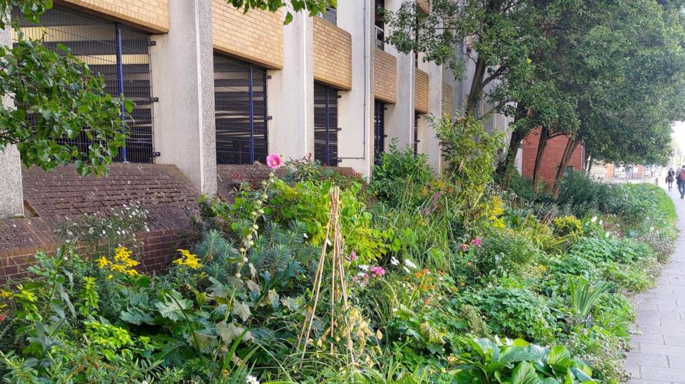 Reading guerrilla gardeners 'bring joy' by planting near car park - BBC ...