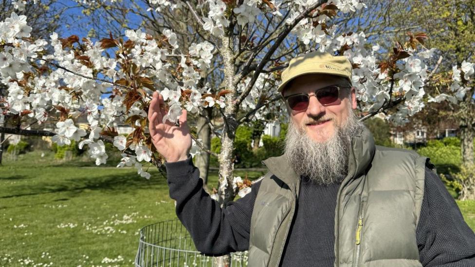 The man from Kent who saved Japanese blossom from extinction - BBC News