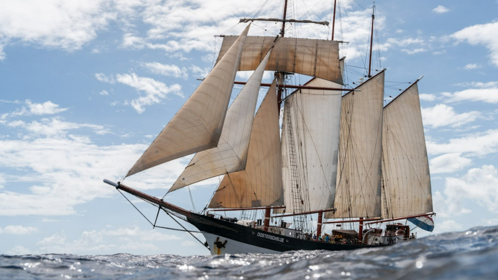 Darwin legacy voyage passes halfway mark - BBC News